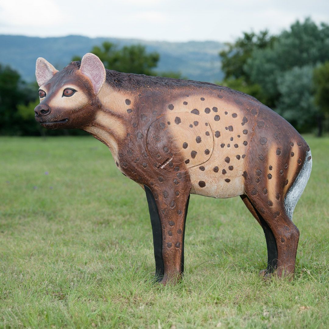 Cible 3D Wildcrete Hyena Small – Donut Archery